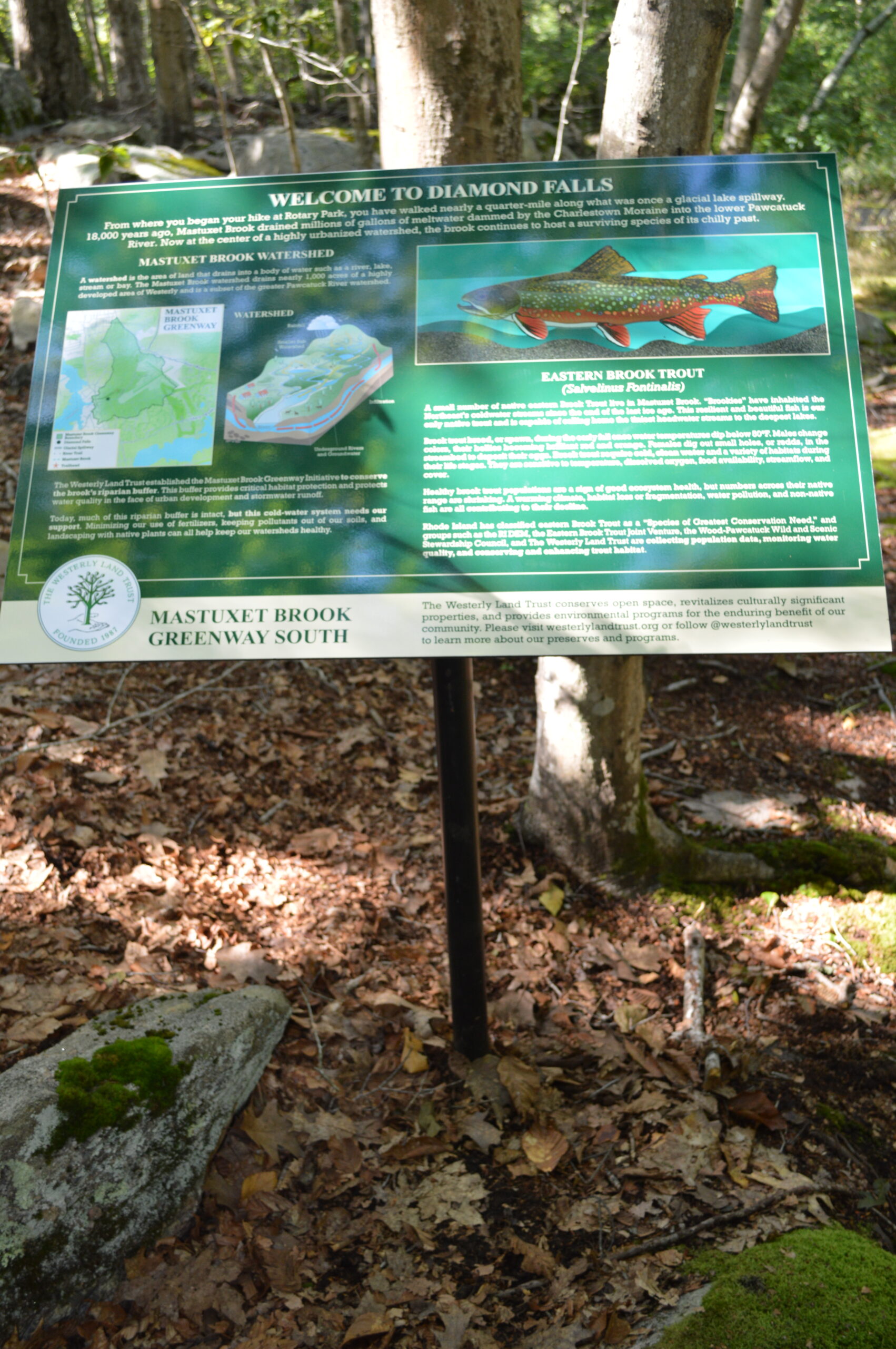The Unexpected Trout – Wood-Pawcatuck Wild and Scenic Rivers